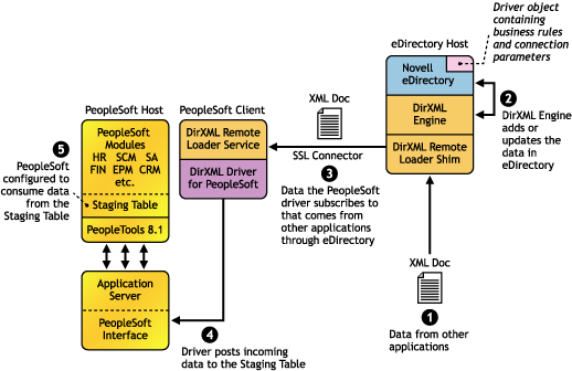 Novell Documentation: Nsure Identity Manager Drivers - Driver Components