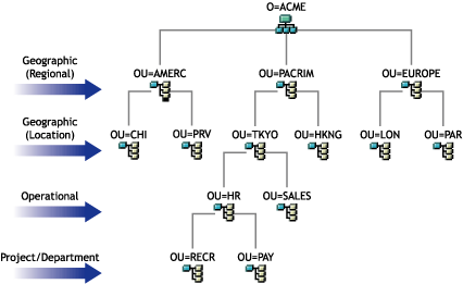Novell Documentation: Novell eDirectory 8.7.3 - Designing the ...