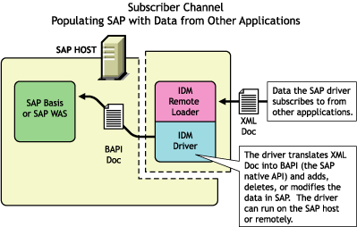 Novell Doc: Identity Manager 3.6.1 Driver for SAP User Management ...