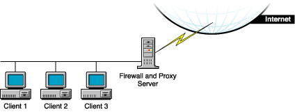 Novell Documentation: Novell BorderManager 3.8 - Designing and Planning ...