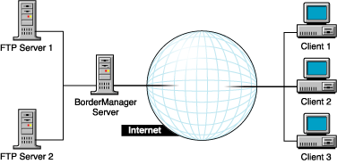 Novell Documentation: Novell BorderManager 3.8 - Designing and Planning ...