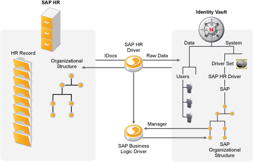 Novell Doc: Identity Manager 3.6.1 Driver for SAP Business Logic ...