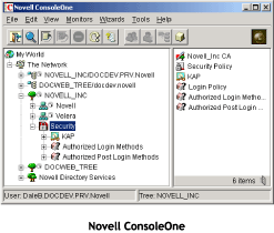 Novell Documentation: NetWare 6 - Manage the Network with NetWare 6
