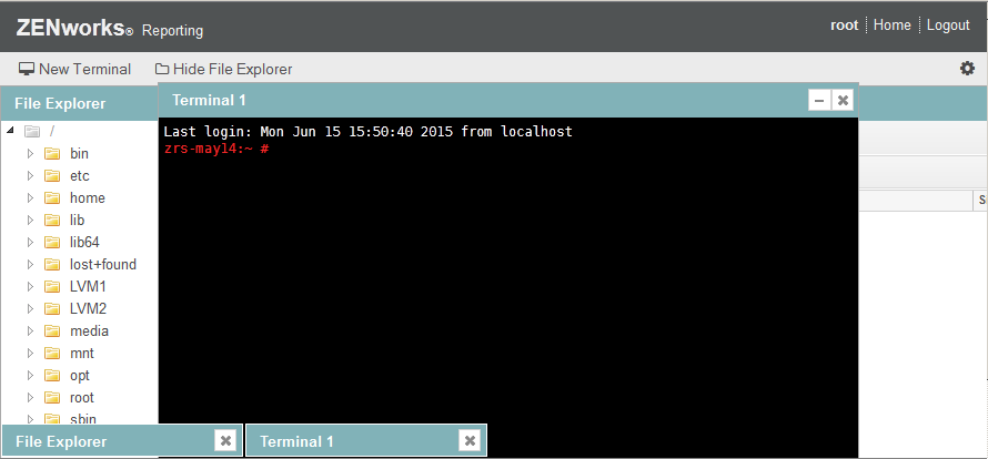 Terminal and File Explorer - ZENworks Reporting Appliance Deployment ...